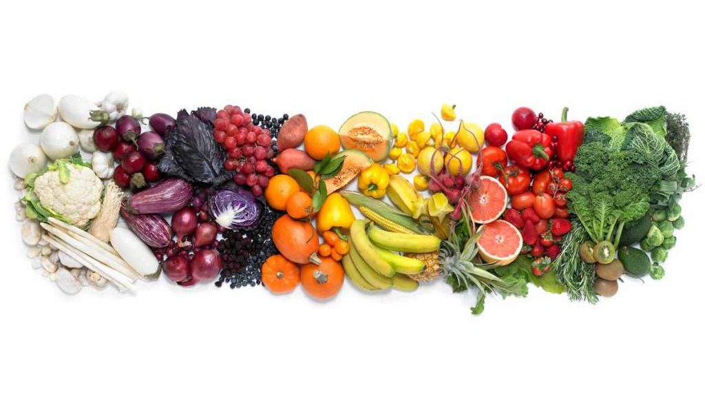 1st Sem Food Production Notes - (Topic wise as per syllabus) - hmhub